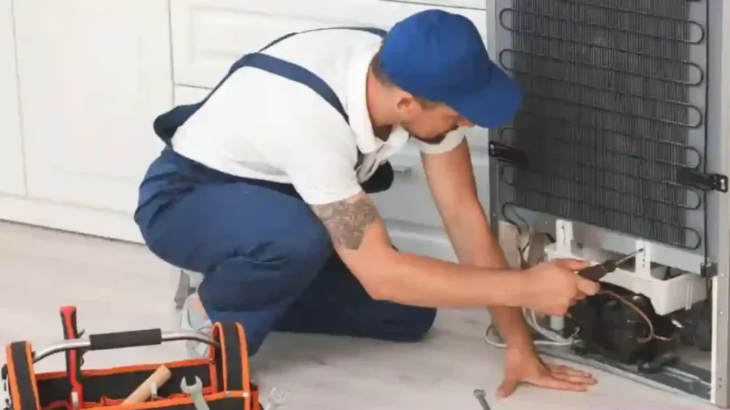 How to Test a Refrigerator Start Relay with a Multimeter: Step-by-Step ...
